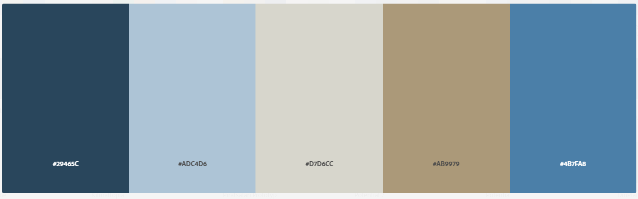 Speederview – Sandra's Design